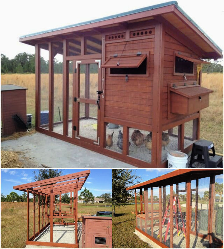 40 DIY Chicken Coop Plans (Ultimate Guide) - Blitsy