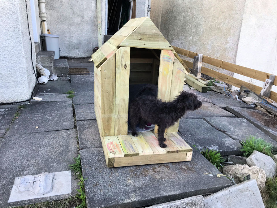 40 DIY Dog House Plans On A Budget - Blitsy