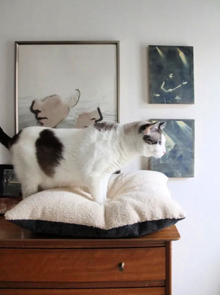 30 Unique DIY Cat Bed Ideas That Anyone Can Make - Blitsy