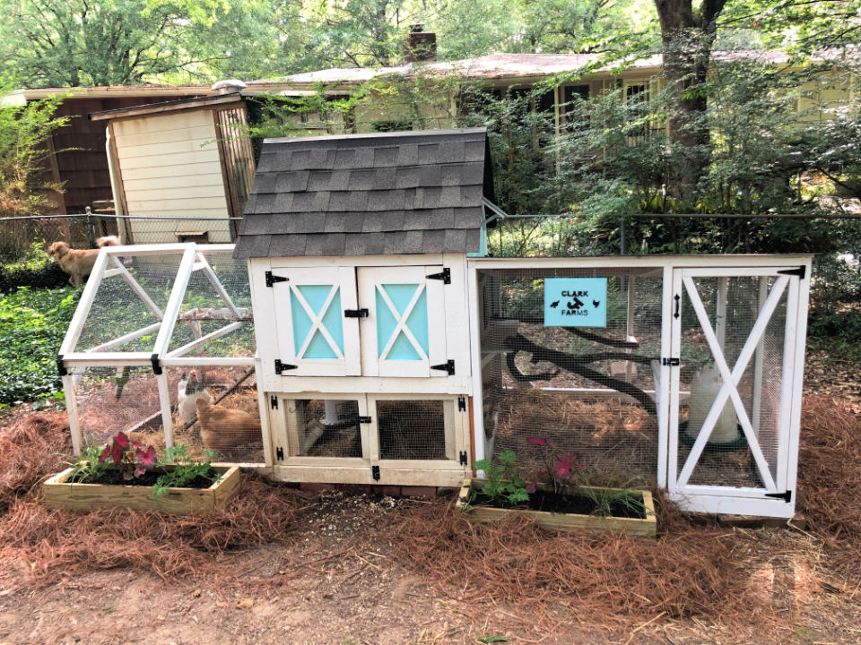 40 DIY Chicken Coop Plans (Ultimate Guide) - Blitsy