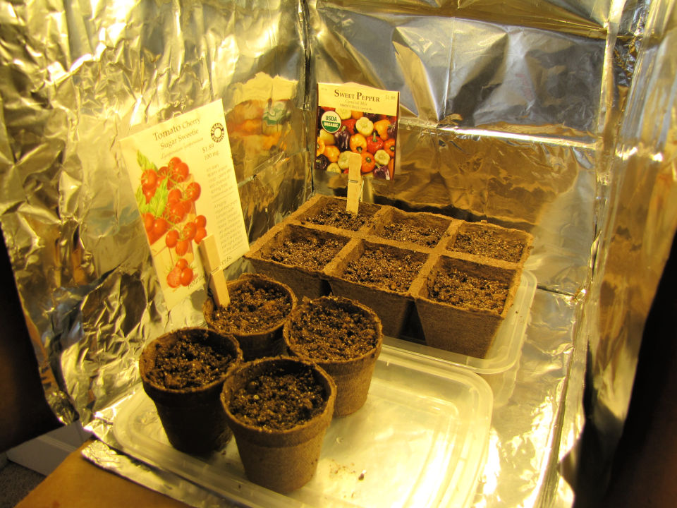 DIY Grow Box: 25 Ideas with Pictures - Blitsy