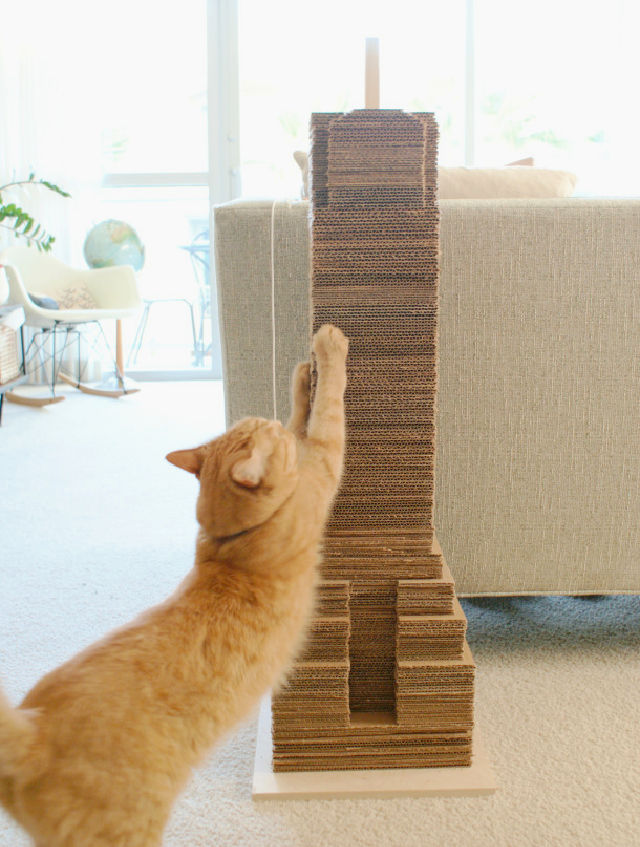 25 DIY Cat Scratching Post Plans - Blitsy