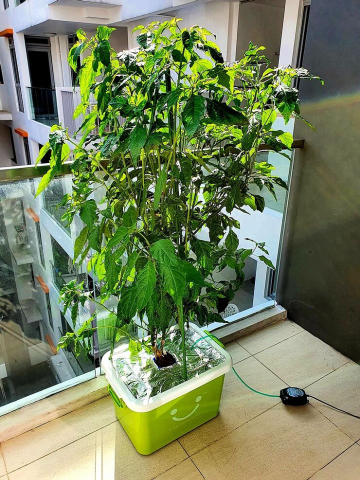 DIY Grow Box: 25 Ideas with Pictures - Blitsy