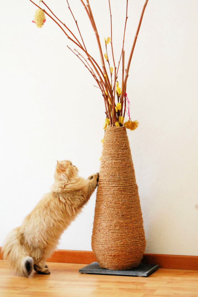 30 Cheap and Easy DIY Cat Toys To Make for Your Cats - Blitsy