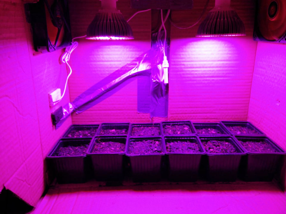 DIY Grow Box: 25 Ideas with Pictures - Blitsy
