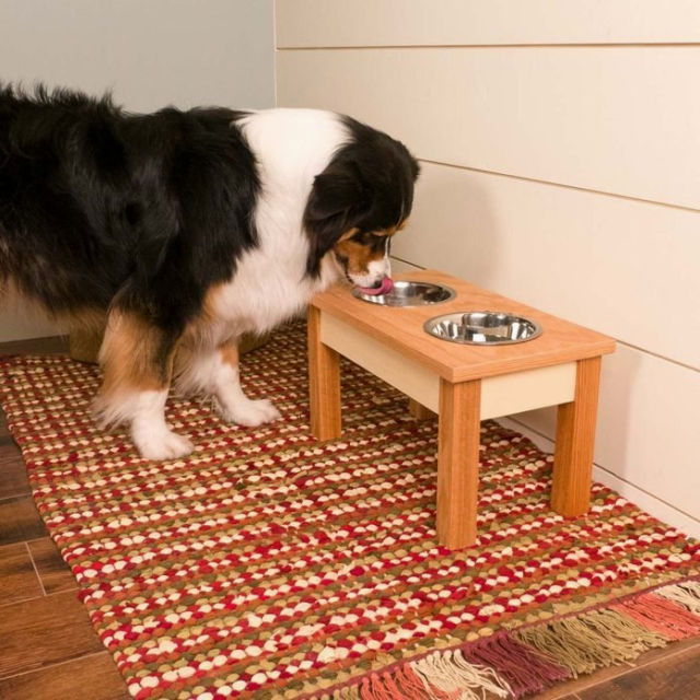 25 DIY Dog Bowl Stand Ideas To Make - Blitsy