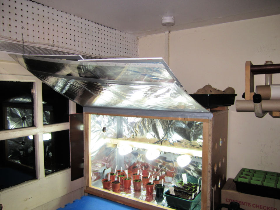 DIY Grow Box: 25 Ideas with Pictures - Blitsy