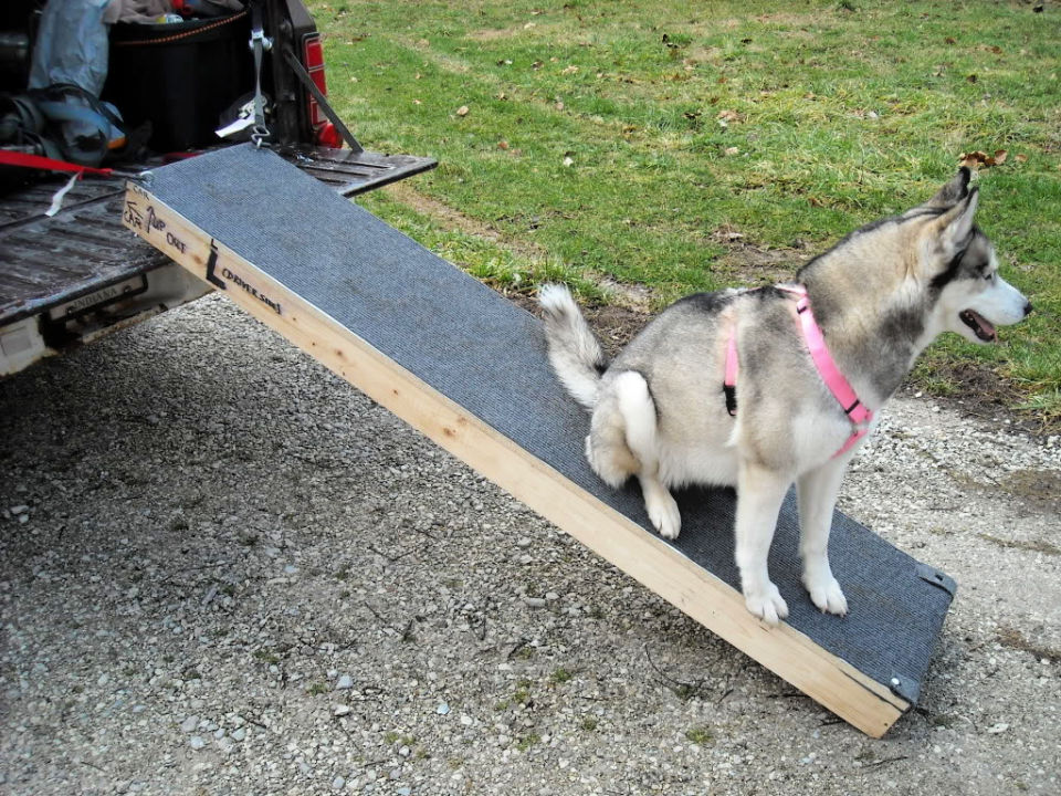 DIY Dog Ramp (25 Free Plans) - Blitsy