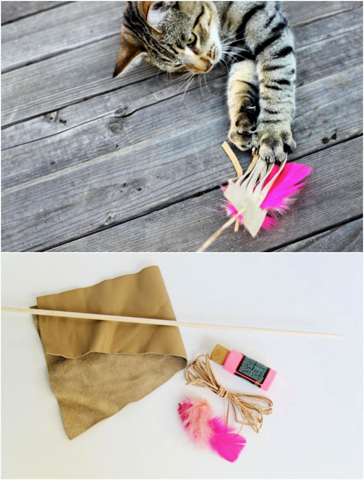 30 Cheap and Easy DIY Cat Toys To Make for Your Cats - Blitsy