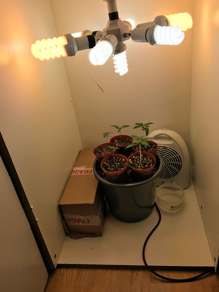 DIY Grow Box: 25 Ideas with Pictures - Blitsy