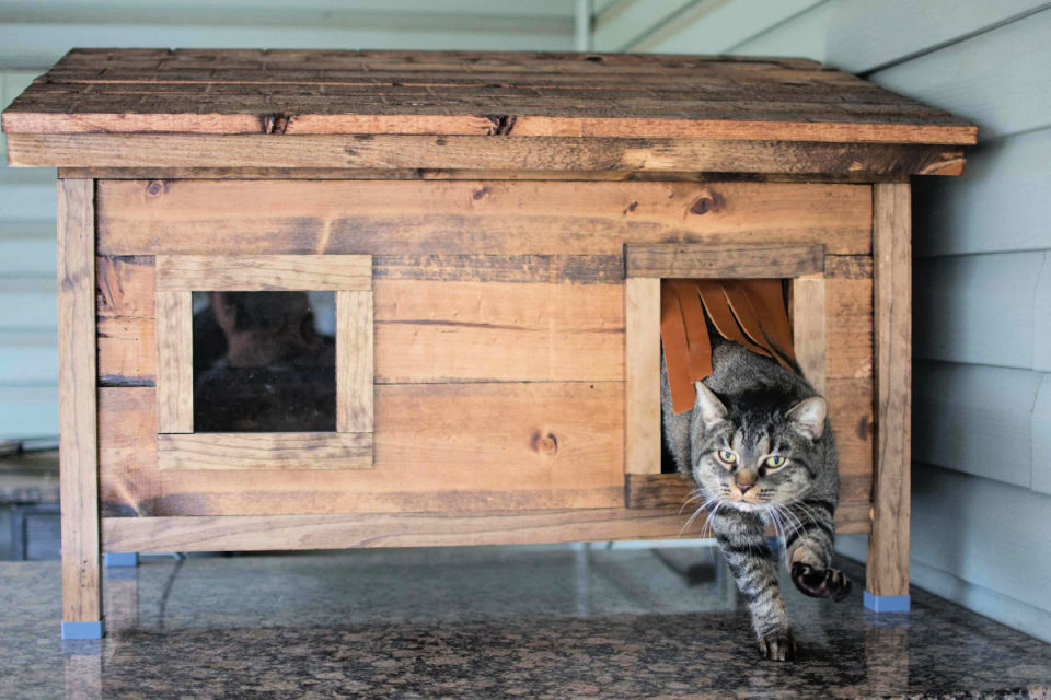 30 DIY Cat House Plans for Outdoor and Indoor - Blitsy