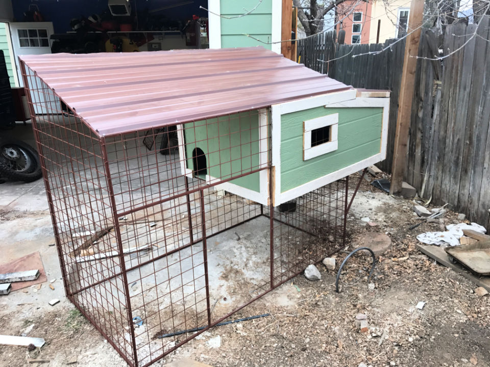 40 DIY Chicken Coop Plans (Ultimate Guide) - Blitsy