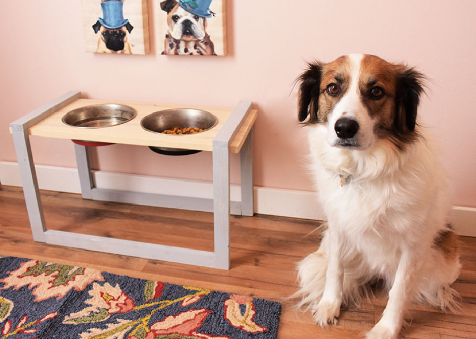 25 DIY Dog Bowl Stand Ideas To Make - Blitsy