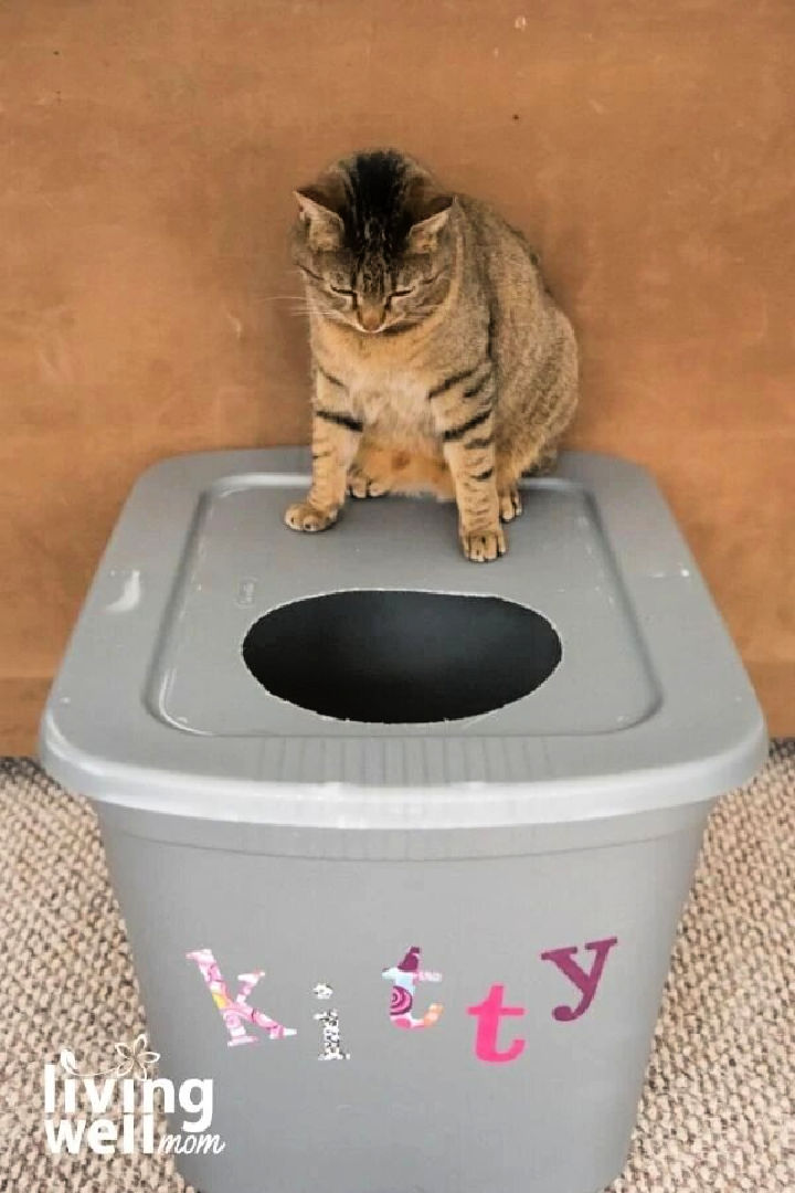 25 DIY Litter Box Ideas to Make - Blitsy