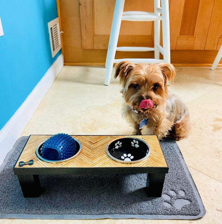 25 DIY Dog Bowl Stand Ideas To Make - Blitsy