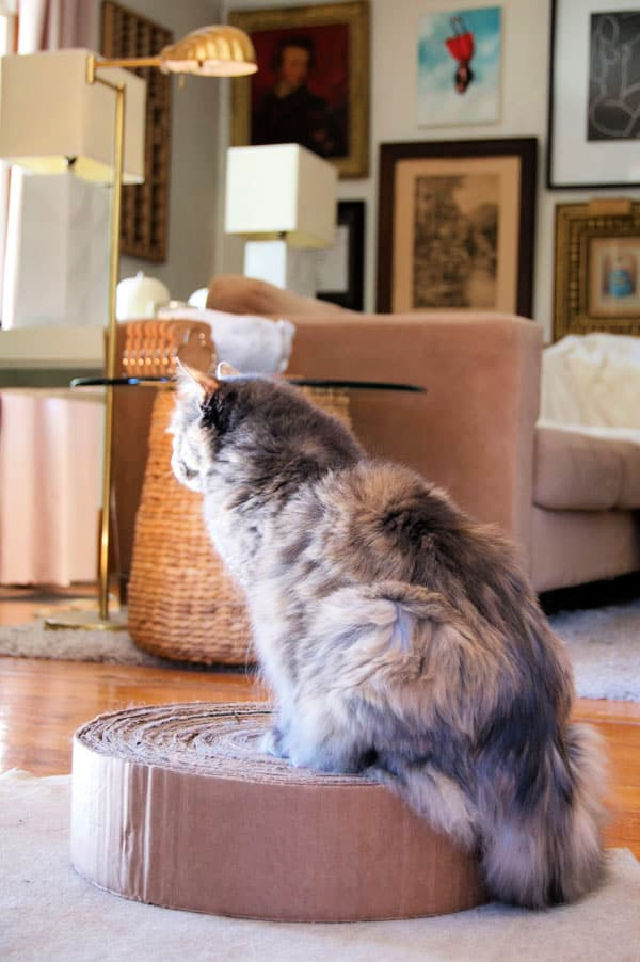 25 DIY Cat Scratching Post Plans - Blitsy