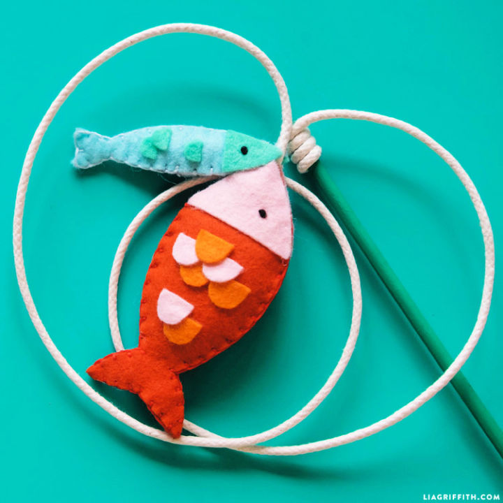 30 Cheap and Easy DIY Cat Toys To Make for Your Cats - Blitsy