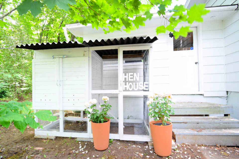 40 DIY Chicken Coop Plans (Ultimate Guide) - Blitsy