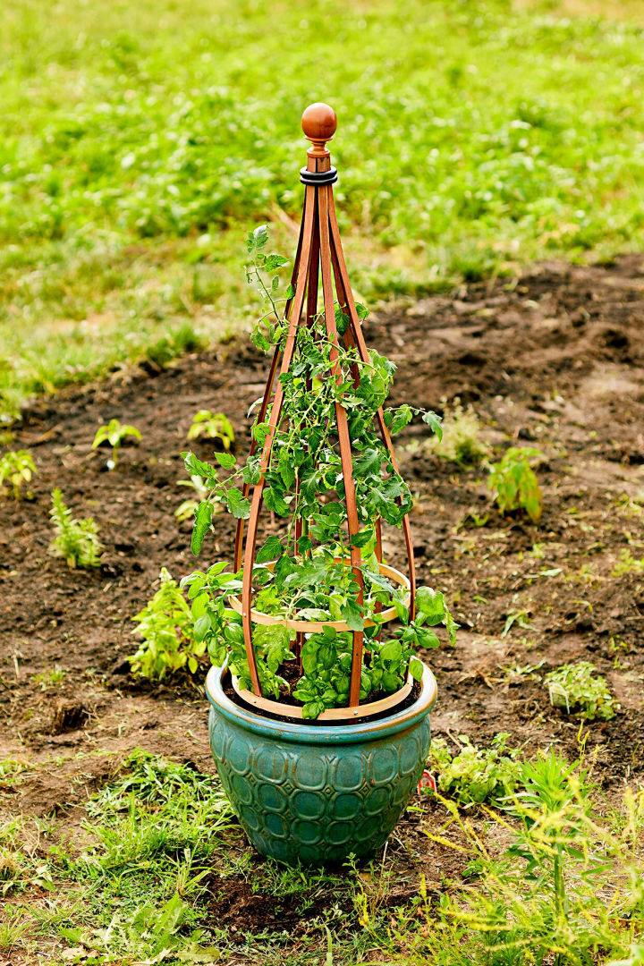 25 Unique Trellis Ideas With Pictures - Blitsy