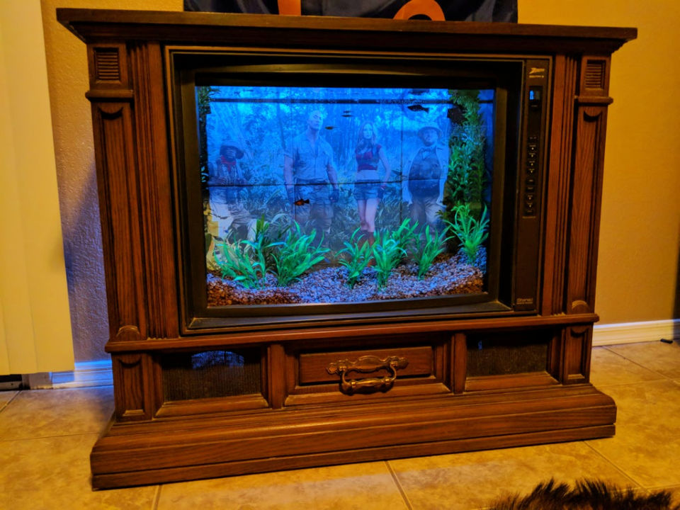 DIY Fish Tank (20 Free Plans) - Blitsy