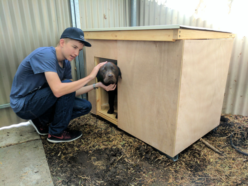 Cheap DIY Dog Kennel - Step by Step Instructions - Blitsy