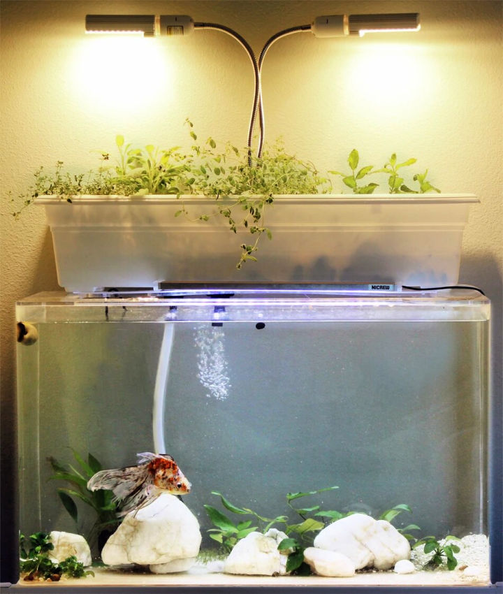 DIY Fish Tank (20 Free Plans) - Blitsy