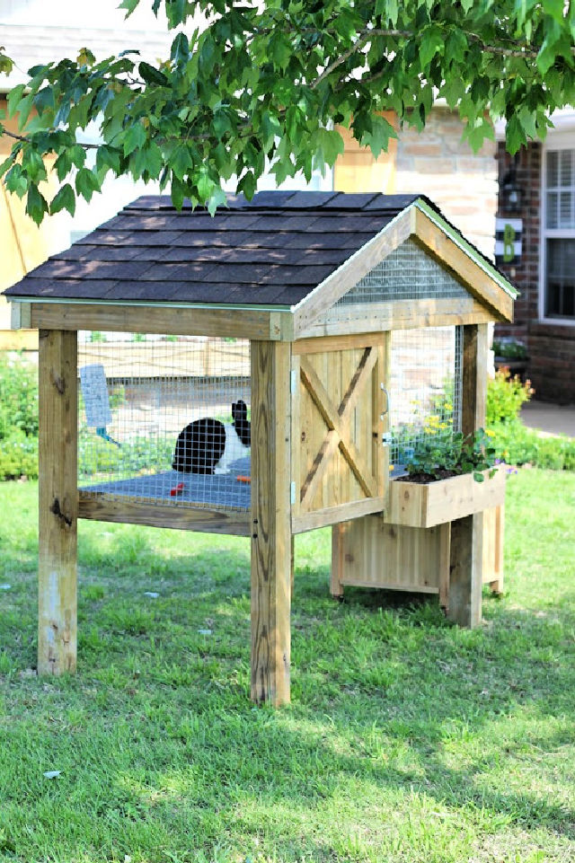30 Free DIY Rabbit Hutch Plans You Can Build - Blitsy