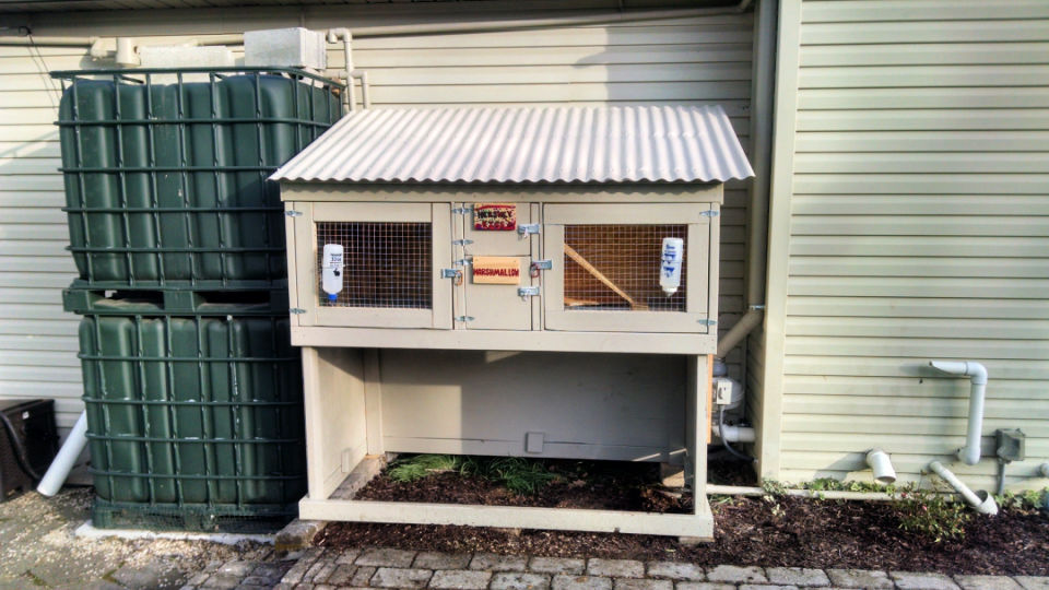 30 Free DIY Rabbit Hutch Plans You Can Build - Blitsy