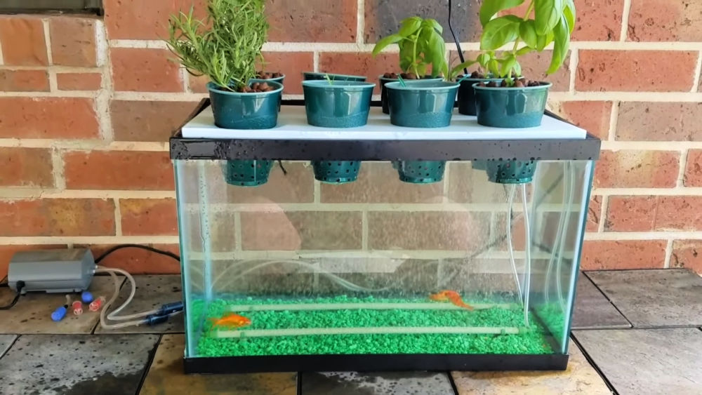 DIY Fish Tank (20 Free Plans) - Blitsy
