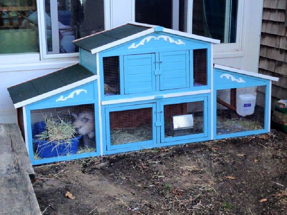 30 Free DIY Rabbit Hutch Plans You Can Build - Blitsy