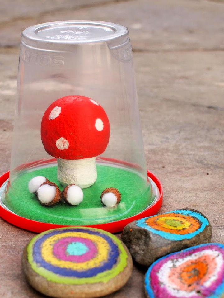 How to Make a Terrarium - Step by Step Guide - Blitsy