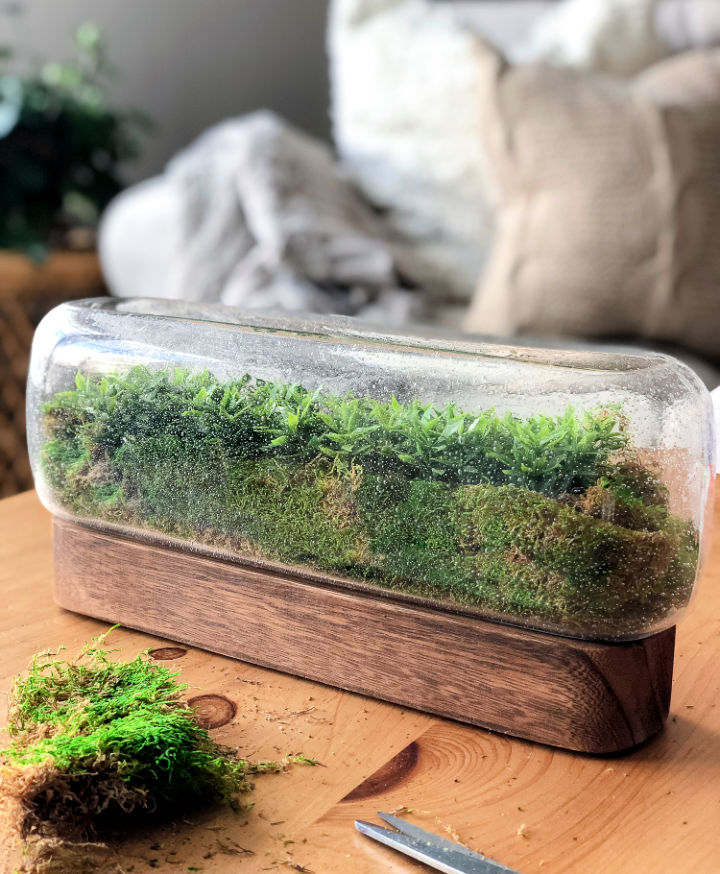 How to Make a Terrarium - Step by Step Guide - Blitsy