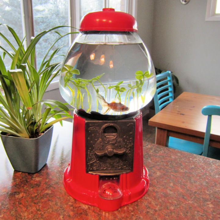 DIY Fish Tank (20 Free Plans) - Blitsy
