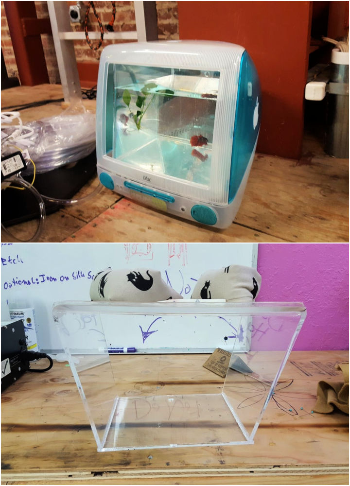 DIY Fish Tank (20 Free Plans) - Blitsy