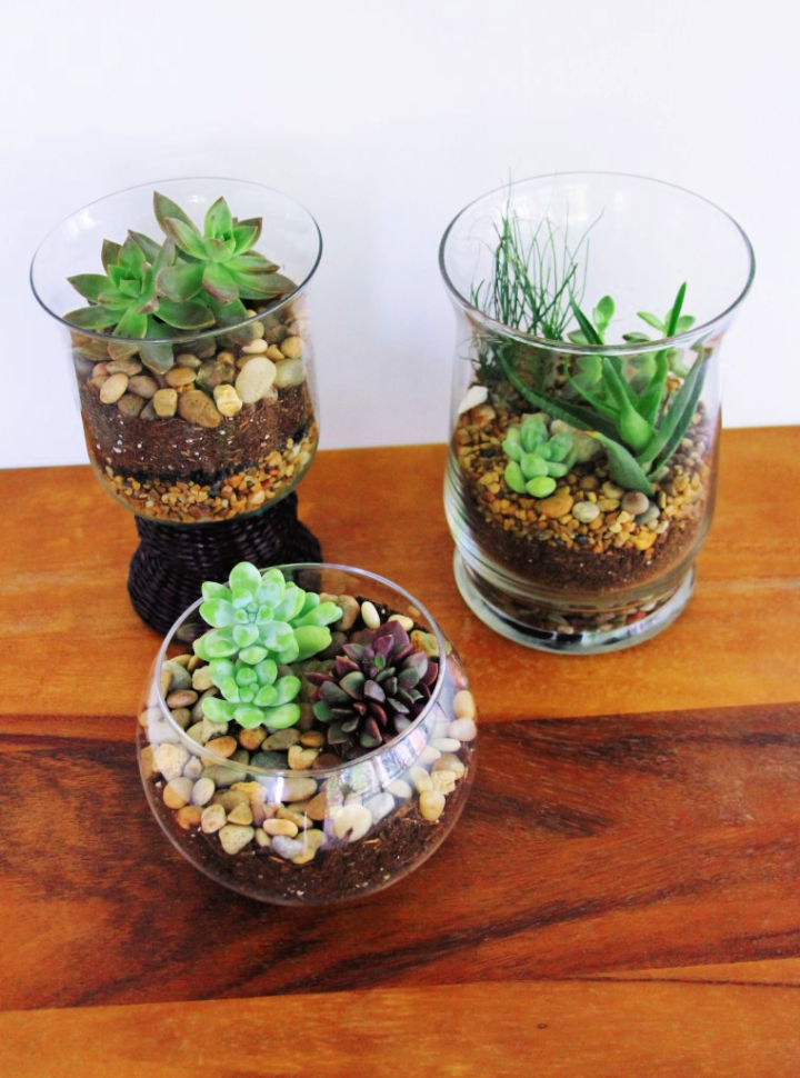 How to Make a Terrarium - Step by Step Guide - Blitsy