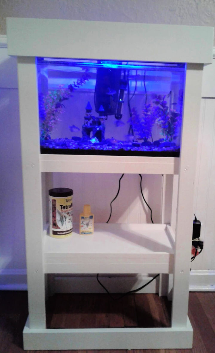DIY Fish Tank (20 Free Plans) - Blitsy