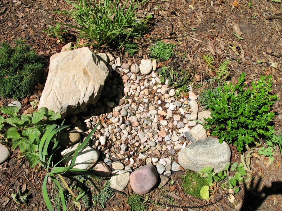 How to Build a Pond - Step by Step Guide - Blitsy