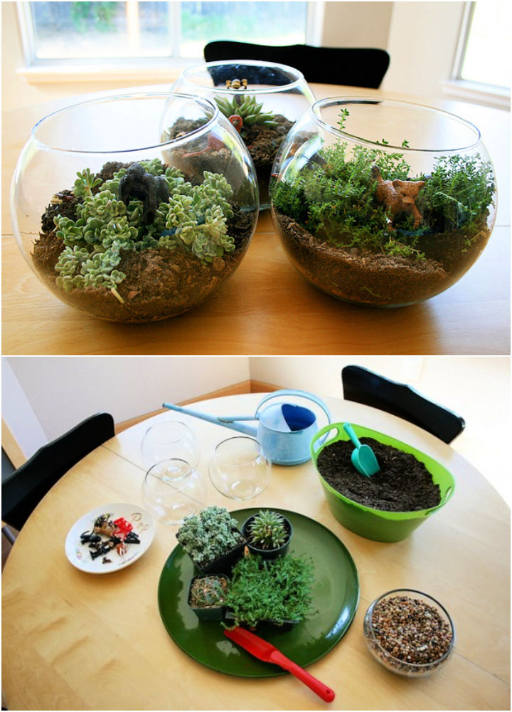 How to Make a Terrarium - Step by Step Guide - Blitsy
