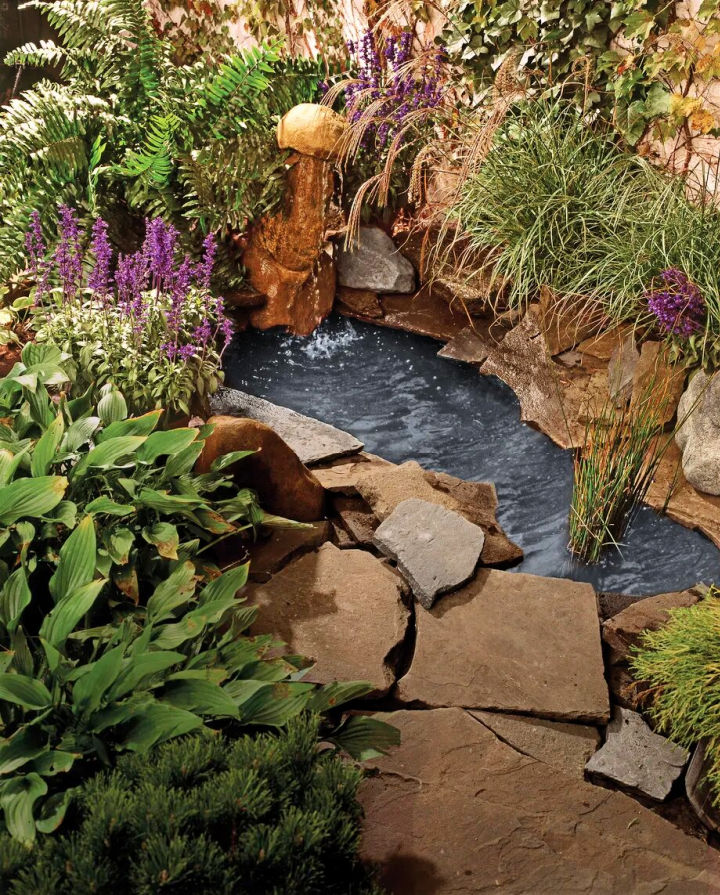 How to Build a Pond - Step by Step Guide - Blitsy