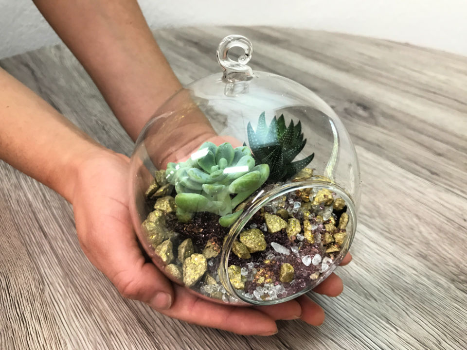 How to Make a Terrarium - Step by Step Guide - Blitsy