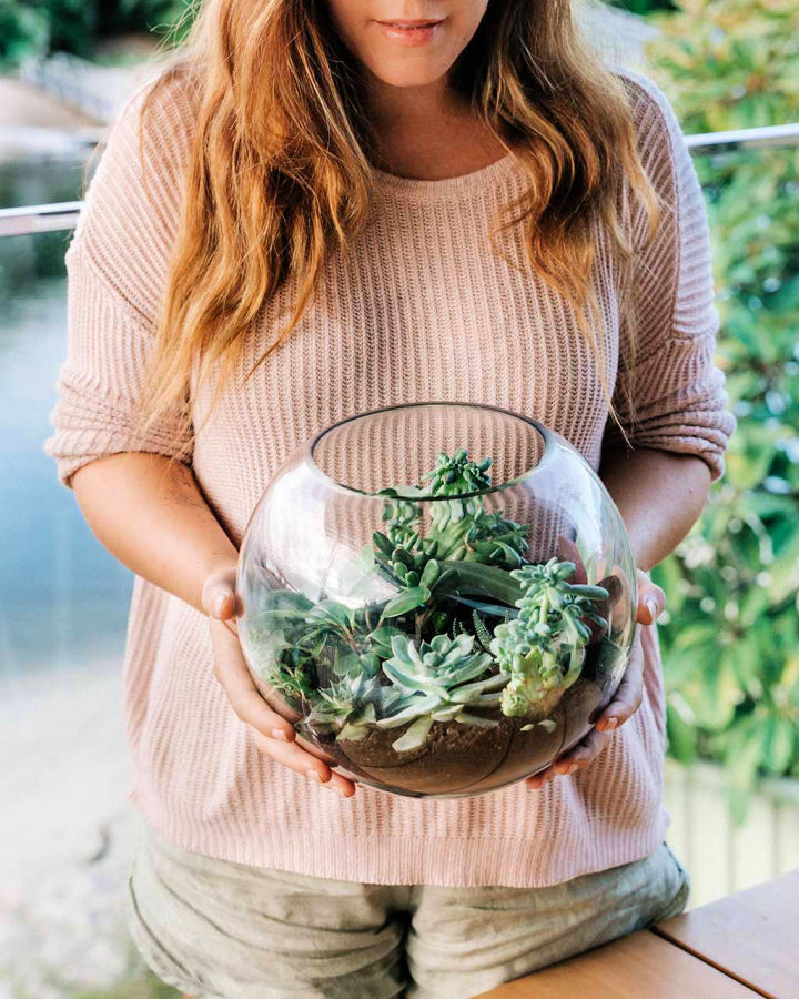 How to Make a Terrarium - Step by Step Guide - Blitsy