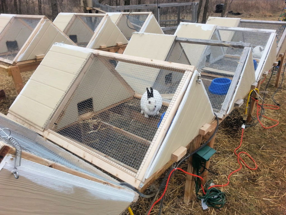 30 Free DIY Rabbit Hutch Plans You Can Build - Blitsy