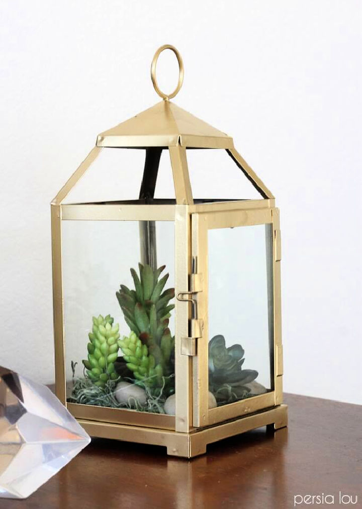 How to Make a Terrarium - Step by Step Guide - Blitsy
