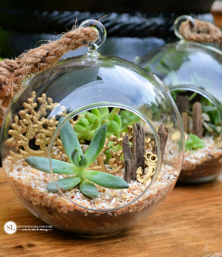 How to Make a Terrarium - Step by Step Guide - Blitsy