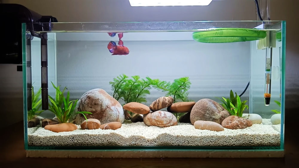 DIY Fish Tank (20 Free Plans) - Blitsy