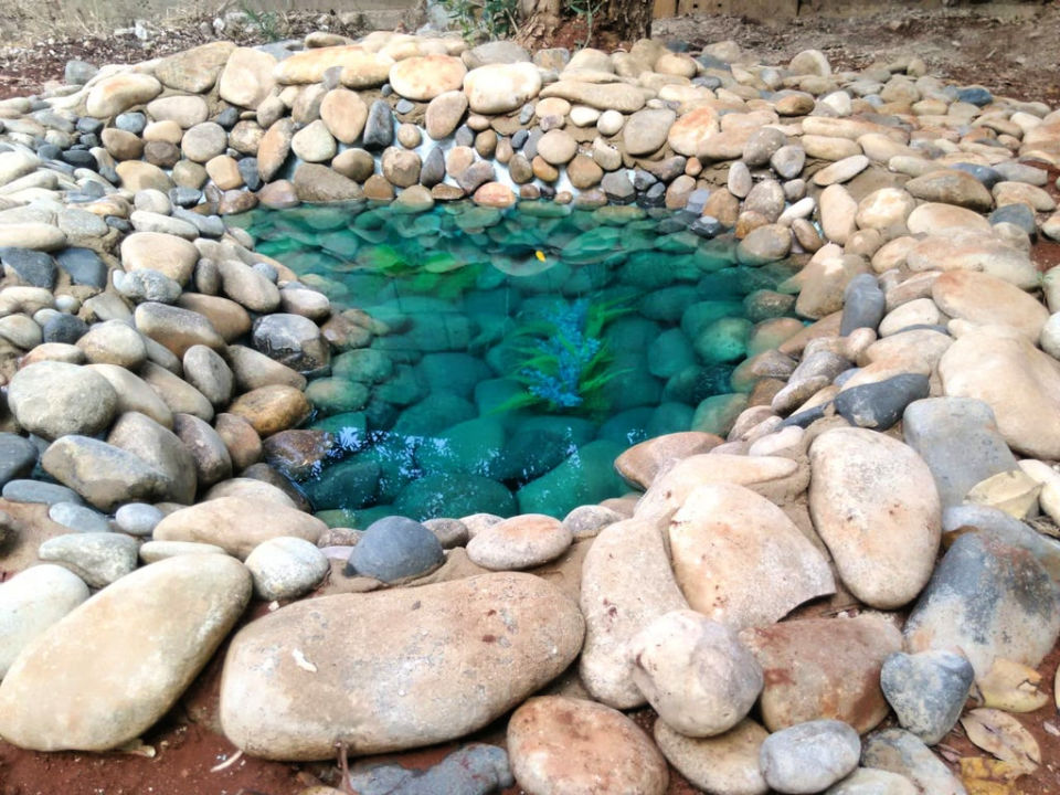 How to Build a Pond - Step by Step Guide - Blitsy