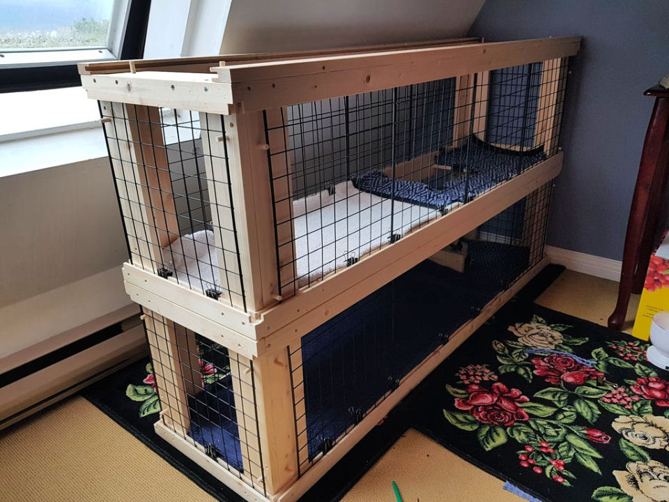 30 Free DIY Rabbit Hutch Plans You Can Build - Blitsy