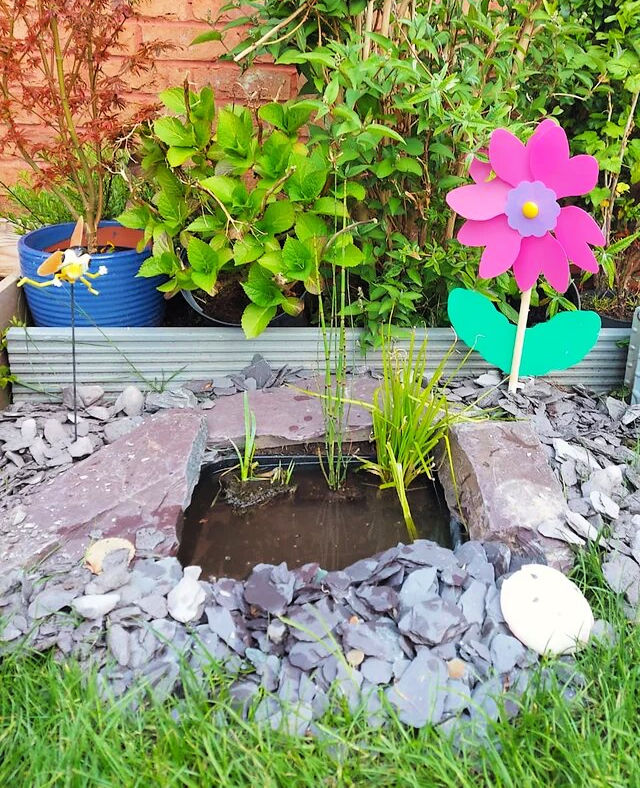 How to Build a Pond - Step by Step Guide - Blitsy