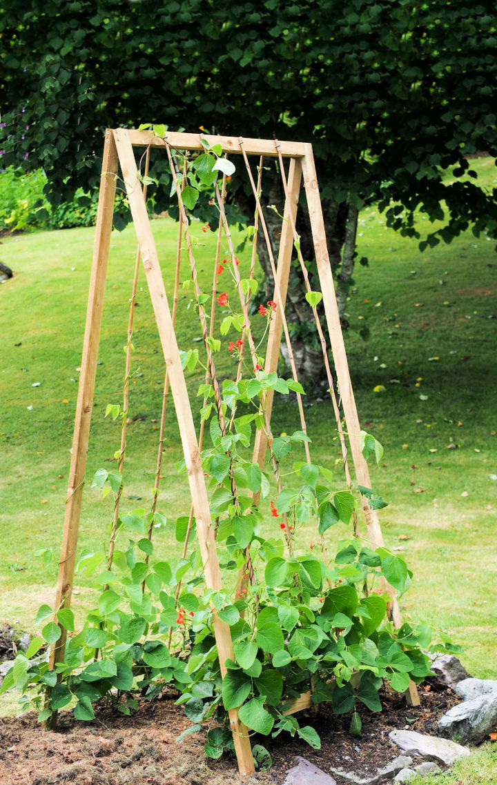 20 Homemade DIY Cucumber Trellis Ideas - Blitsy