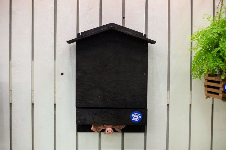 DIY Bat House Plans to Build - Blitsy
